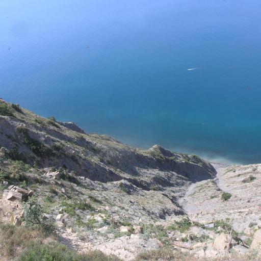 Migrant Hawker (Aeshna Mixta) Insect Identification Guide, Habitat & Facts