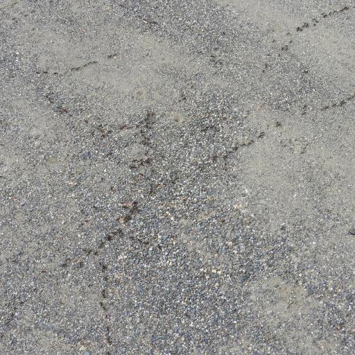 Calyptra Thalictri Insect Identification Guide, Habitat & Facts