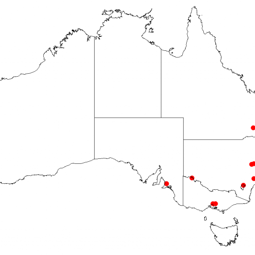 Acacia Adunca Plant Care & How to Grow, Water