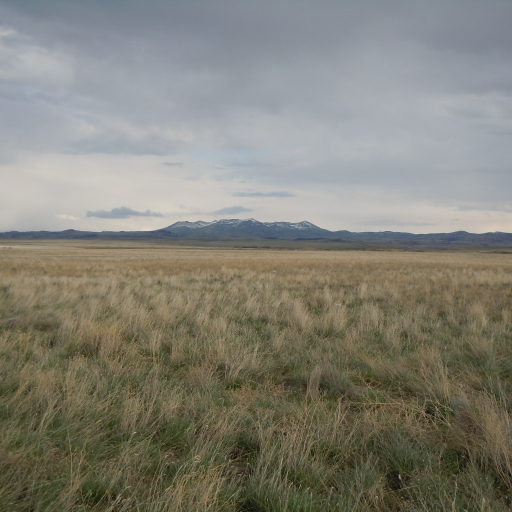 Crested Wheatgrass (Agropyron Cristatum) Plant Care & How to Grow, Water