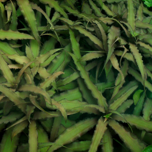 Earth Star And Starfish (Cryptanthus Acaulis) Plant Care & How to Grow ...