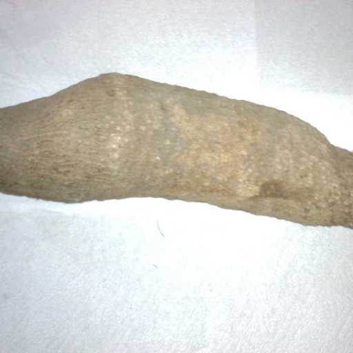 Attoto Yam (Dioscorea Cayenensis) Plant Care & How to Grow, Water