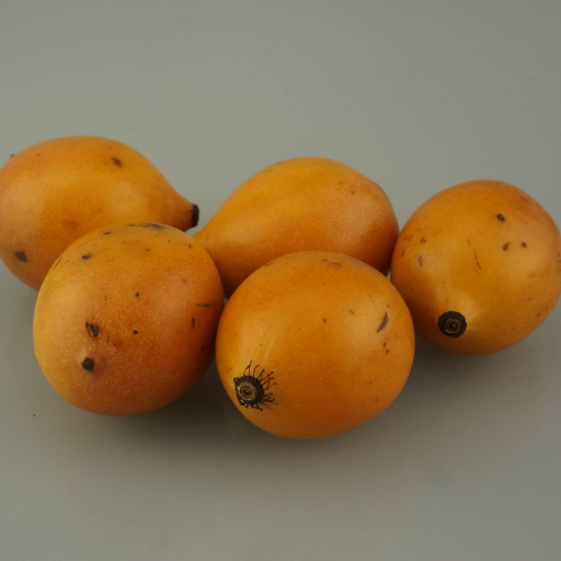 Achachairú (Garcinia Humilis) Plant Care & How to Grow, Water