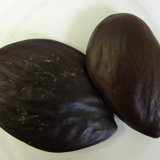 Atta-Bean (Pentaclethra Macrophylla) Plant Care & How to Grow, Water