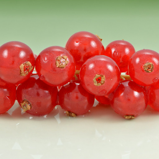 Garden Currant (Ribes Rubrum) Plant Care & How to Grow, Water