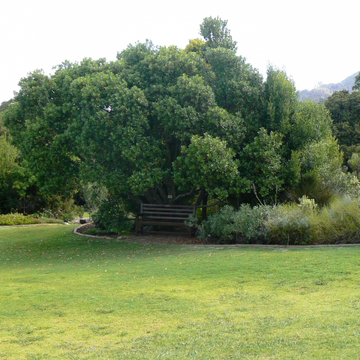 White Milkwood (Sideroxylon Inerme) Care Guide: Water, Soil ...